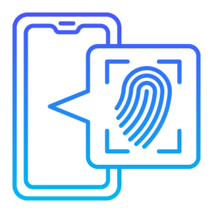 Infraestructura de redes - Bercont